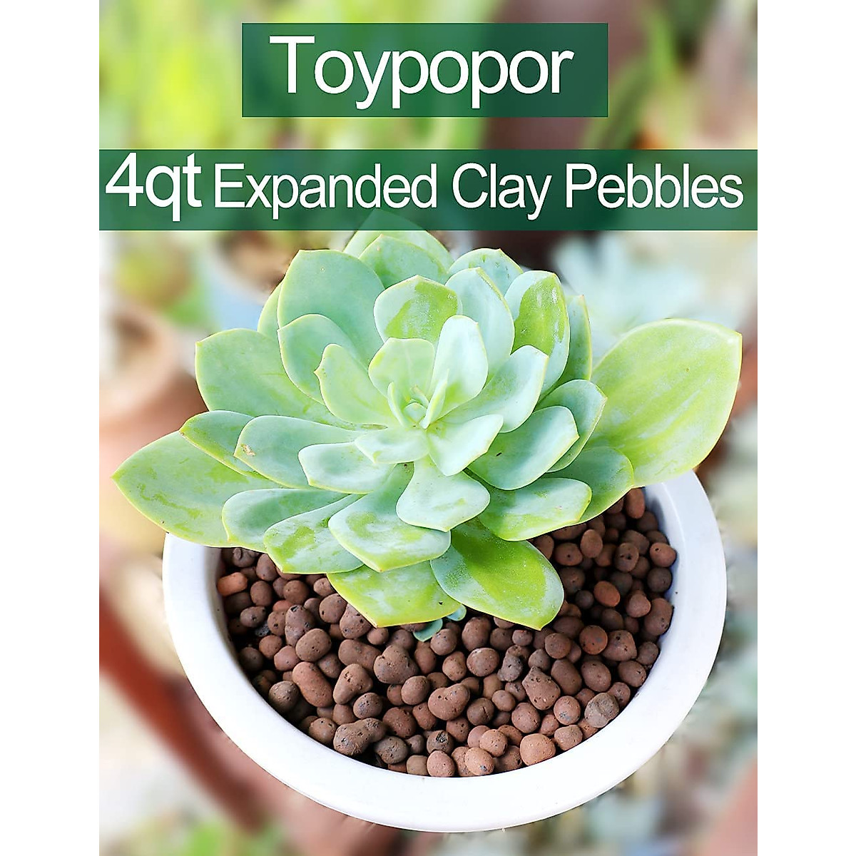 4qt Hydroponic Clay Pebbles, 8mm-12mm, Toypopor Natural Organic Expanded Grow Media for Hydroponics, Drainage, Decoration, Aquaponics and Other Gardening Essentials