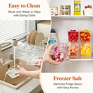 Lifewit Taco Bar Serving Set for Party with 5 Containers(2.5 Cup) & Components, Large Ice Chilled Condiment Caddy Organizer, Garnish Serving Tray Platter for Mimosa Bar Accessories, Fruit, Salad, Food