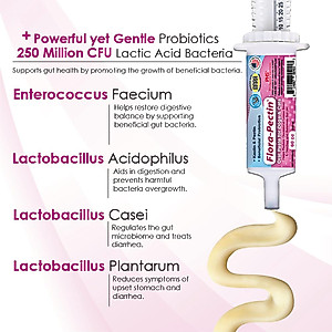 Oral Paste for Dogs & Cats-Helps Reduce Occasional Loose Stool & Diarrhea, Balance Gut pH, Support Normal Digestion & Intestinal Flora-Fast Acting Probiotic (60 CC - Tasty Chicken Flavor)
