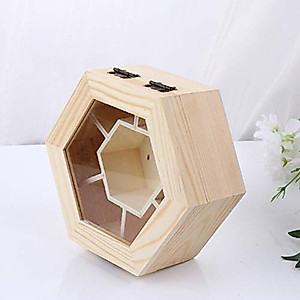 EXCEART Unfinished Wooden Jewelry Box Hexagon DIY Trinket Storage Box Blank Keepsake Organizer 7 Compartments Clear Top Craft Gift Box with Locking Clasp for Art Craft Home Decor
