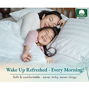 California Design Den - Finest Luxe Full Size Sheet Set Soft 100% Cotton Cooling Sheets Deep Pockets Snug Fit Elastic, 500 Thread Count, 4-Pc Set, Damask Stripe Bed Sheets (Stripe - Sky Blue)