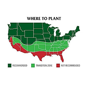 GreenView Pure Grass Seed Sunny Mixture, 20 lb. Bag – Covers up to 10,000 sq. ft.