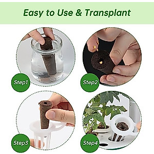 INOVASHON Grow Sponges for Hydroponics, Hydroponics Growing System Plant Sponge, Hydroponics Supplies Starter Kit, Herb Indoor Gardening System, Replacement Plant Germination Kits (50 Packs)