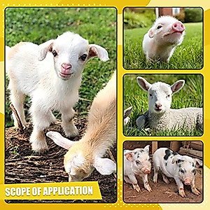 Mardatt 121 Pcs Bander Snap Pliers with 120 Pcs Rubber Rings, Multi Function Filling Pliers, Balloon Expander Tool Snap Pliers