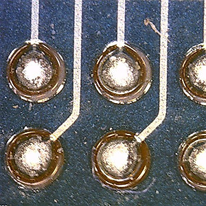 Dino-Lite AM3113 - 10x-50x, 230x - Handheld Digital Microscope - 640 x 480 Pixels - Measuring Software - 8 Integrated LED Lights