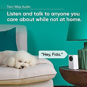 WYZE Cam Pan v2 1080p Pan/Tilt/Zoom Wi-Fi Indoor Smart Home Camera with Color Night Vision, 2-Way Audio, Compatible with Alexa & The Google Assistant 32GB MicroSDHC Card Class 10