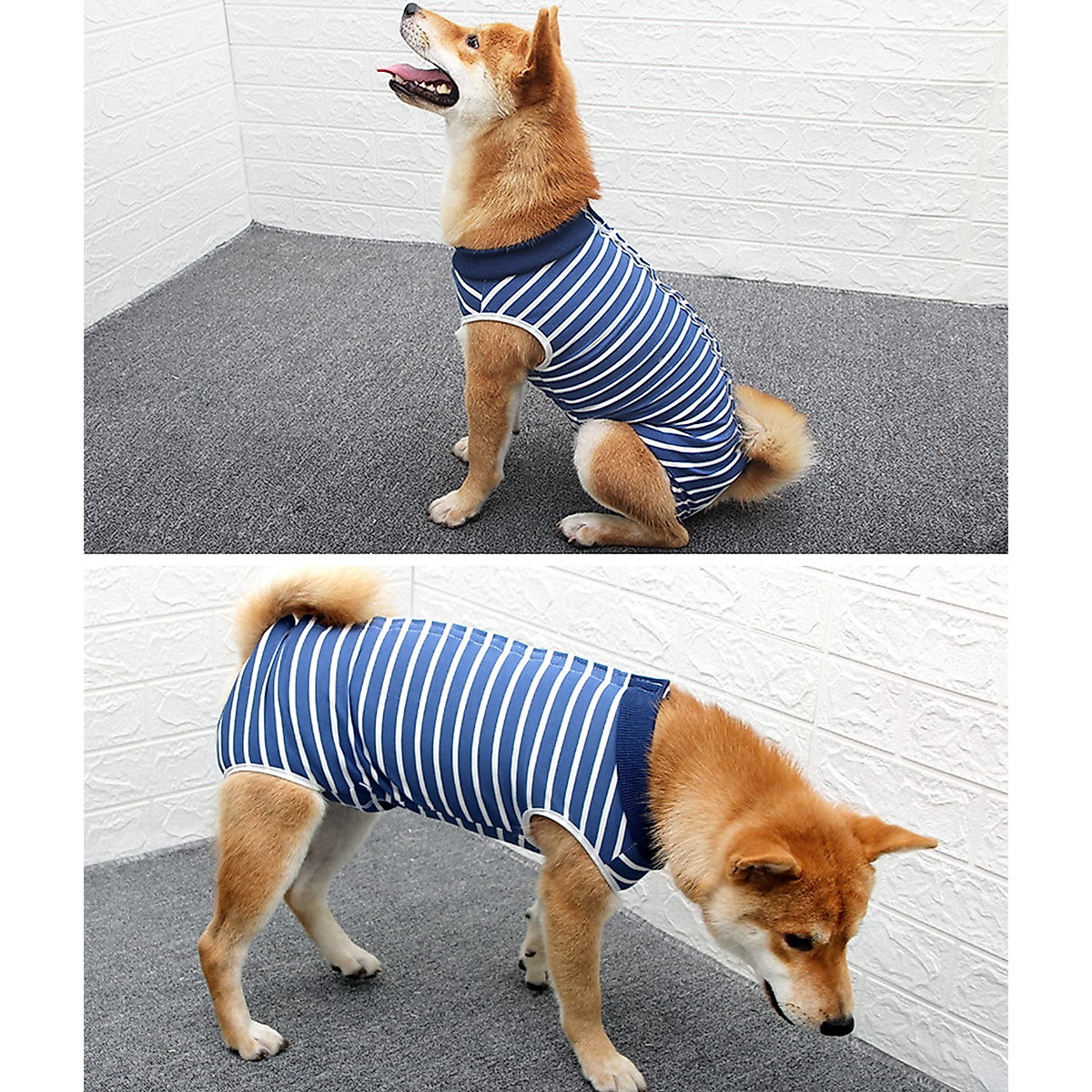 Coppthinktu Dog Recovery Suit for Abdominal Wounds, Breathable Dog Surgery Recovery Suit for Dogs, E-Collar Alternative After Surgery Wear Suit for Small/Medium Dogs