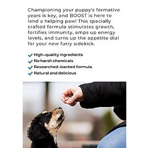 VetVittles Boost for Puppies - Natural Formative Years Support - Stimulates Growth, Strengthens Immunity, Increases Energy, and Promotes Appetite - 90 Soft Chews