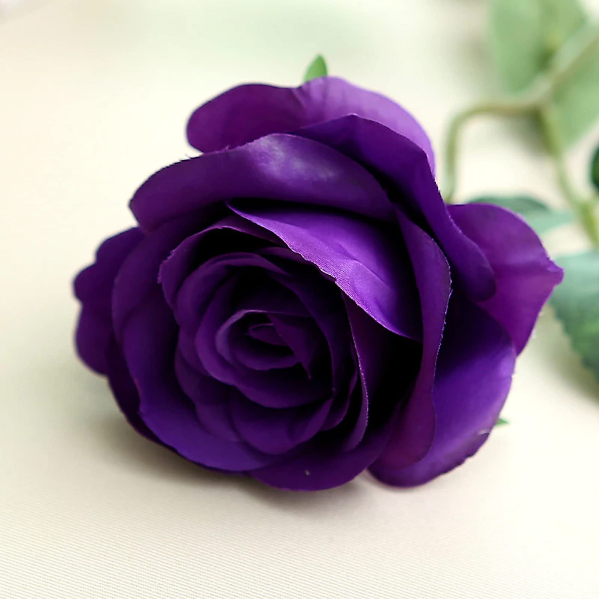 CHUXAY GARDEN Purple Rose Seed 100 Seeds Rare Rosa Bush Heirloom Perennial Flowering Plant Striking Bush Vine Climber