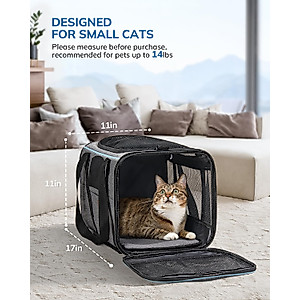 Morpilot Cat and Dog Carrier with Detachable Wheels - Airline Approved Rolling Carrier for Small Pets and Cats - Foldable Pet Travel Bag