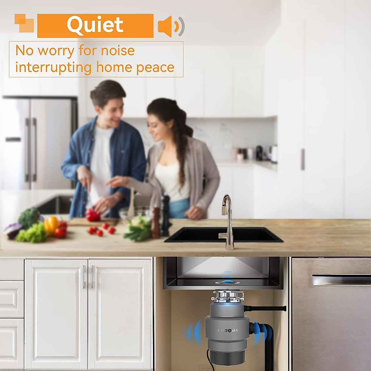 Chooba Garbage Disposal 3/4HP, Food Waste Disposal Continuous Feed, Garbage Disposal with Power Cord