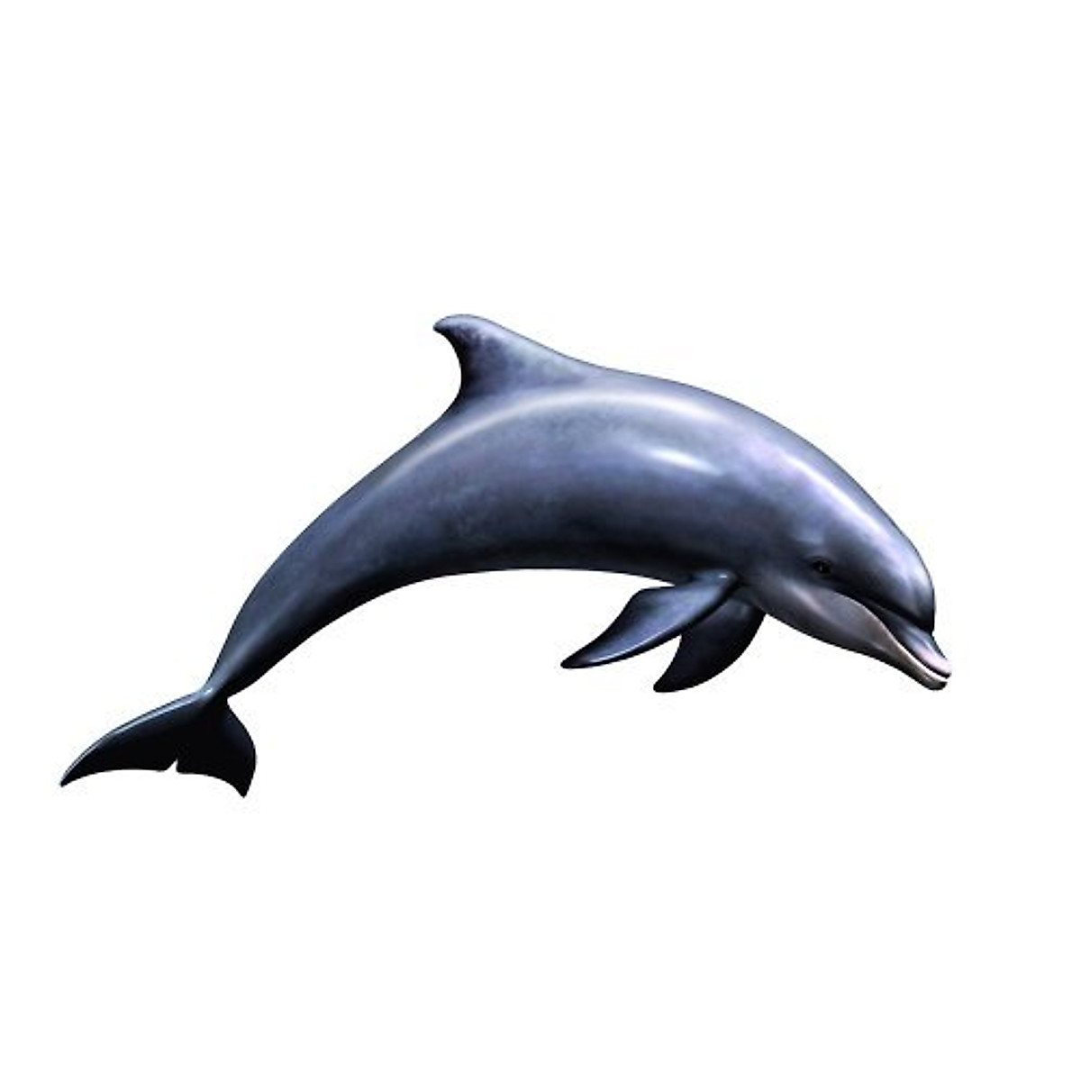 Endless Ocean: Dive, Discover, Dream (Renewed)