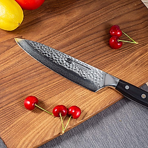 Premium 8 Inch Damascus Chef Knife, VG10 Super Steel 67 Layer High Carbon Stainless Steel Kitchen Knife with Full Tang Handle