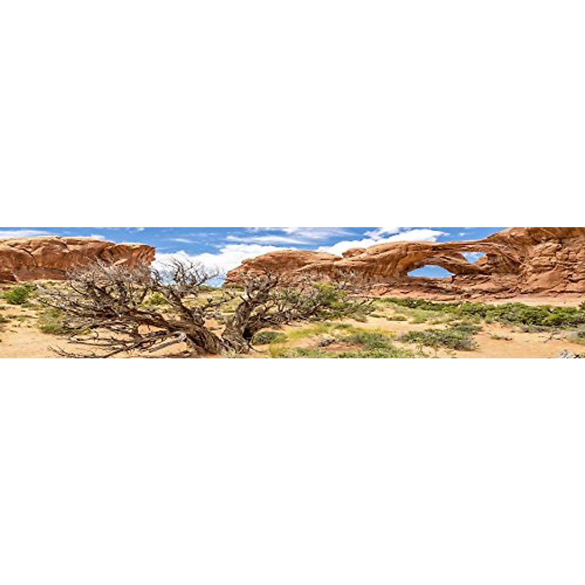 Reptile Habitat Background; Double Arch with Tree, for 36Lx18Wx18H Terrarium, 3-Sided Wraparound