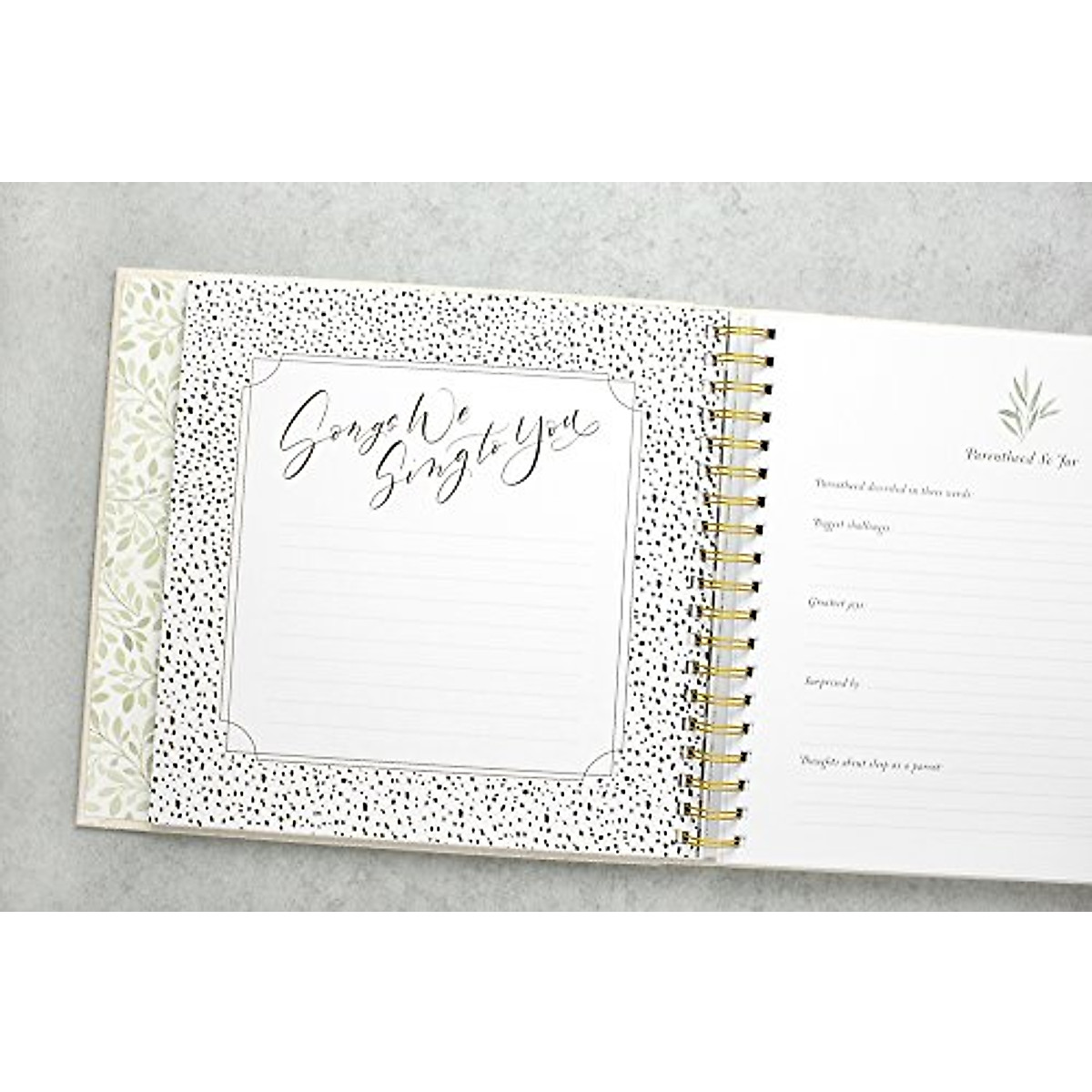 As You Grow: A Modern Memory Book for Baby (Heirloom Story Books and Guided Journals)