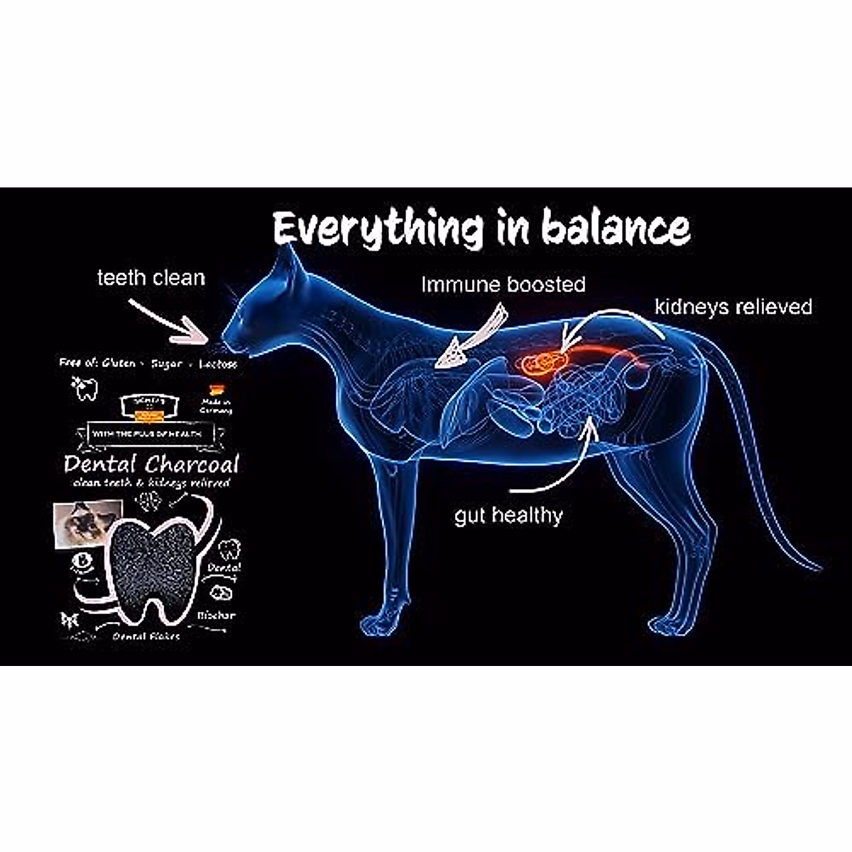 QCHEFS Dental Charcoal for Cats – Two Month Supply* - Food Topper - After Meal Licking Treat, Oral Health Snack with Amino Acids.