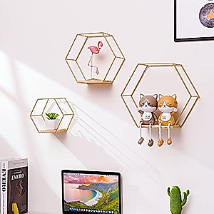 Morobor Wall Mounted Floating Hexagon Shelves,3pcs Different Sizes Metal Framed Gold Shelves with Wooden Floor for Wall Storage & Display in Modern Chic Style