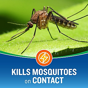 Cutter Backyard Bug Control Outdoor Fogger, Kills Mosquitos, Gnats & Flies, Perfect for Backyards, Decks, Patios, 16 Ounce For Insects