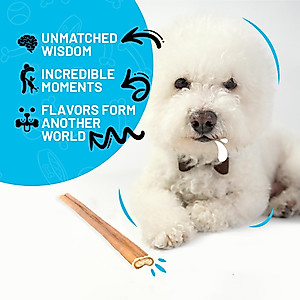 Sitka Farms Bully Sticks Slim 12 inch - 10 Count - Bully Sticks for Dogs - All Natural Long Lasting Dental Treats for Large Medium and Small Dogs, Collagen Chews for Dogs