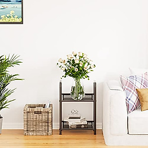 Azheruol Bookshelf Storage Shelf Bookcase Freestanding Storage Stand for Living Room, Bedroom, Kitchen, Rust Resistance, Easy Assembly Free Combination Multi-Functional Organizer (2 Tiers, Black)