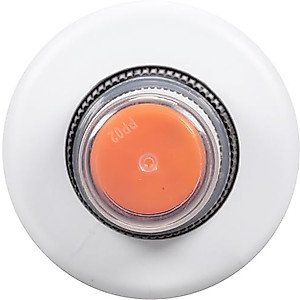 Armor All 10010 Original Protectant - 10 oz.