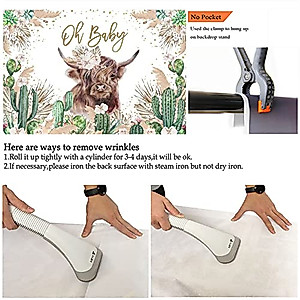Avezano Oh Baby Backdrop Highland Cow Baby Shower Party Decorations for Boys Girls Mexican Cactus Pampas Grass Floral Baby Shower Photography Background Supplies (7x5ft)