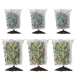 6 Packs 2 Size Insect Netting Bag, Garden Bird Barrier Mesh Covers Bags with Drawstring, Bug Netting Plant Protection Covers Bags for Blueberry Tomato Vegetable Form Cicadas Bird Squirrels Eating