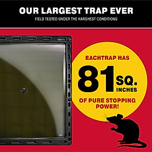 Catchmaster Jumbo Rat & Mouse Glue Traps 6Pk, Large Glue Rat Traps, Mouse Traps Indoor for Home, Pre-Scented Adhesive Plastic Tray for Inside House, Snake, Mice, & Spider Traps, Pet Safe Pest Control