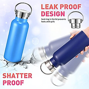 Mimorou 10 Pcs 17 oz Stainless Steel Sports Water Bottle Insulated Reusable Water Bottles with Handle Metal Water. Bottle for Hikers Gift, 10 Colors