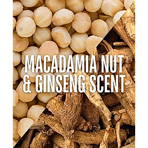 GO247 Shampoo - Men's Daily Shampoo, 8 Fl Oz