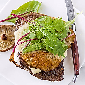 Trudeau Laguiole Steak Knives with Pakkawood Handles (Set of 6), Stainless/Wood