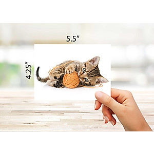 Small World Greetings Playful Kitten Cards 12 Count - Blank Inside with Envelopes - A2 Size (5.5”x4.25”) - Cat Stationery - All Occasion, Thank You, Birthday, and More