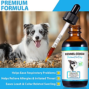 Kennel Cough Treatment for Dogs, Kennel Cough Herbal Drops, Dog Cough Relief - Dog Seasonal Allergy Relief, Dog Itch Relief, Support Dog Cough Care About Dry, Pet Cough Relief - 2.02 Fl.oz / 60 ml