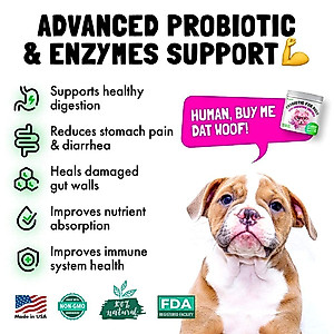 LEGITPET Probiotics for Dogs with Natural Digestive Enzymes + Prebiotics for Allergy & Itch Relief 120 Soft Chews and Wild Alaskan Salmon Oil for Dogs & Cats Bundle