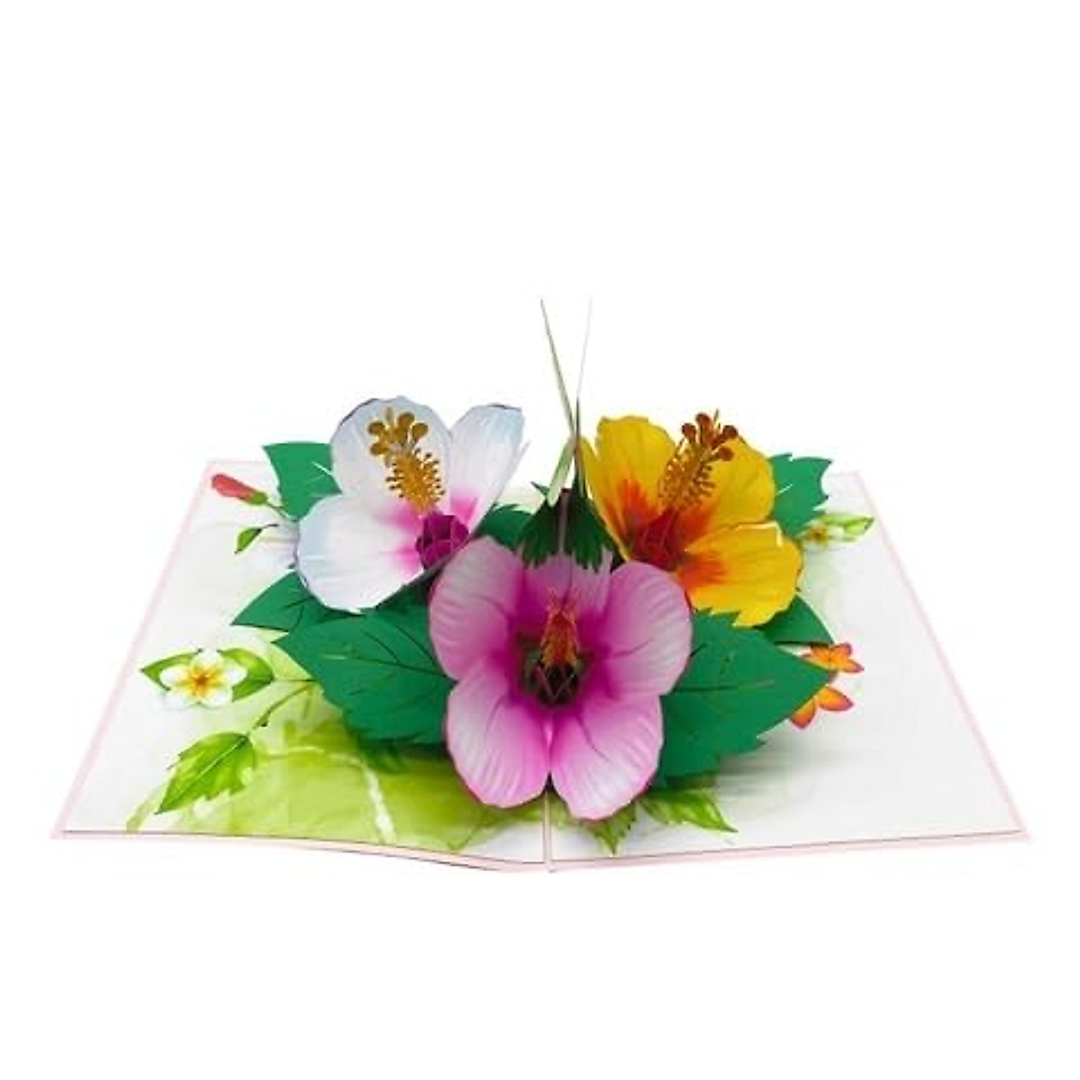 ETA 3D Hibiscus and Green Hummingbird Pop Up Greeting Card for Birthday, Just Because, Thinking of You, Retirement, Get Well, Congratulations, Any Occasions, F38