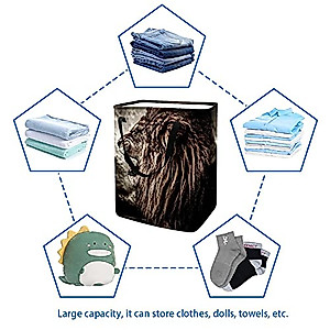 Lion Background Laundry Basket Collapsible Storage bin with Handles for Hamper,Kids Room,Toy Storage