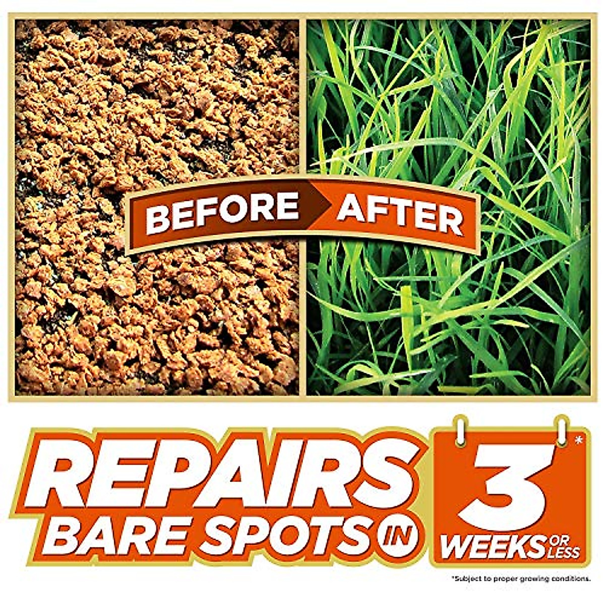 Pennington One Step Complete Bermudagrass Bare Spot Grass Seed, 5 Pounds, White