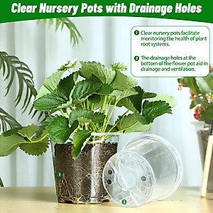 TAQIXI 48 Pack 7/6/5/3.5 Inch Clear Plastic Pots for Plants, Clear Nursery Pots with Drainage Holes, Reinforced Plastic Nursery Pots Variety Pack