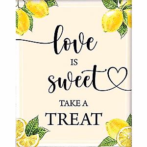 Eeypy Lemon Love is Sweet Take a Treat Sign Citrus Main Squeeze Bridal Shower Decor Lemon Table Decor Lemonade Party Decor Tin Signs Vintage Funny 8x12 Inch