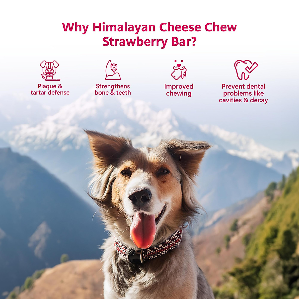Himalayan Dog Chews Long Lasting - Strawberry Yak Cheese Dental Chews for Dogs | Promotes Healthy Teeth & Bones | Healthy Dog Treats for Large Dogs (14.81oz, Pack of 3) Pawfect