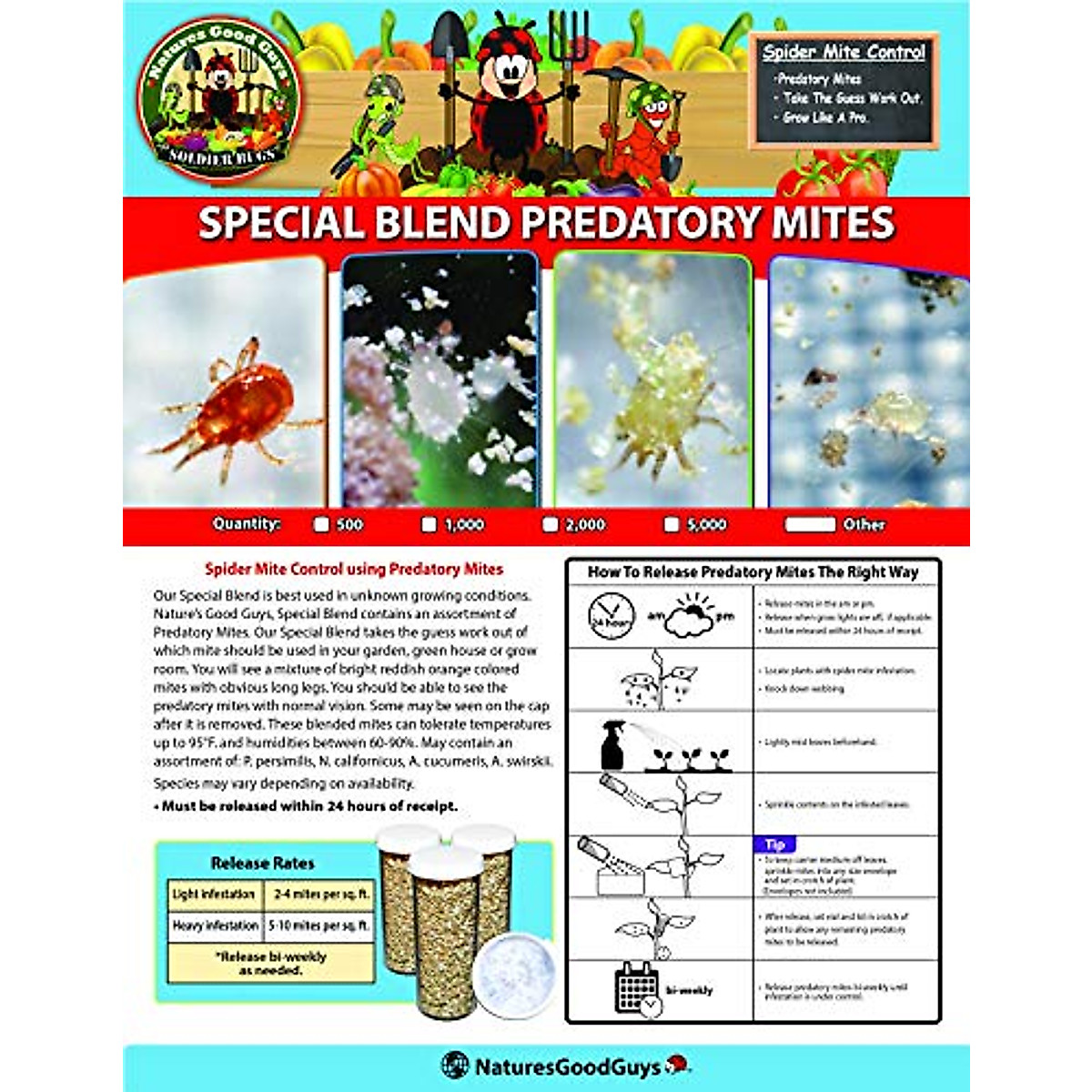 2,000 Live Adult Predatory Mites - A Mix of Predatory Mite Speciesl - Ships Next Business Day!l