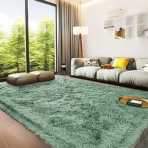 Fluffy Rug for Living Room Shaggy Soft Area Rug Mint Green Fuzzy Rug Non-Slip Indoor Floor Carpet, Rectangle 4x6 Feet