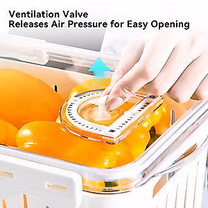 Oiperiey 3-Pack Fridge Vegetable and Fruit Storage Containers, Creative Timer Refrigerator Drain Storage Box, BPA-Free Kitchen Storage Box with Ventilation Holes to Keep Food Fresh