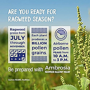 Boiron Ambrosia 30c Homeopathic Medicine for Ragweed or Hay Fever Relief and Allergy Symptoms of Sneezing, Runny Nose, and Itchy Eyes or Throat - 1 Count (80 Pellets)