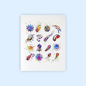 Dignovel Studios 8X10 Unframed Bacteria Watercolor Art Print Biology Medical Art Microbiology Virus Art Abstract Bacteriophage Science Home Office Wall Decor Poster DN675