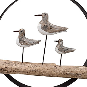 E-view Nautical Wood Wall Decoration Rustic Wooden Hanging Circle Ocean Home Decor Hand Carved Beach Themed Ornament for Door (Seagull)