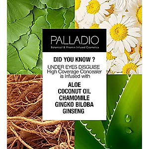 Palladio Full Coverage Concealer, Under Eyes Disguise, Creamy Face and Eye Concealer, Evens Skin Tone, Conceals Blemishes, Dark Circles and Fine Lines, Use with Concealer Brush, Toffee