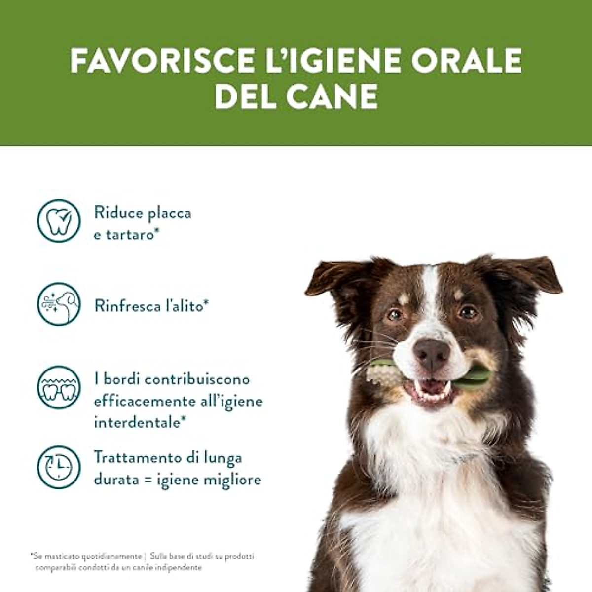 Whimzees Natural Dental Dog Chew Long lasting, Variety Box Mixed Shapes, Small, 56 Pieces