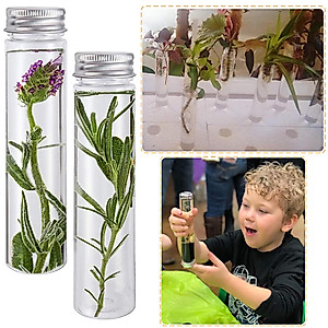 Haawooky 18 Pack 115 ml Clear Plastic Test Tubes with Screw Caps Flat-Bottomed Bath Salt Containers,Candy Containers for Wedding Party Christmas Décor