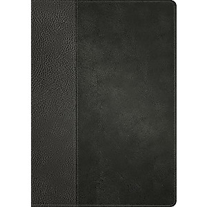 NLT Personal Size Giant Print Bible, Filament Enabled (LeatherLike, Black/Onyx, Red Letter): Includes Free Access to the Filament Bible App Delivering ... Notes, Devotionals, Worship Music, and Video